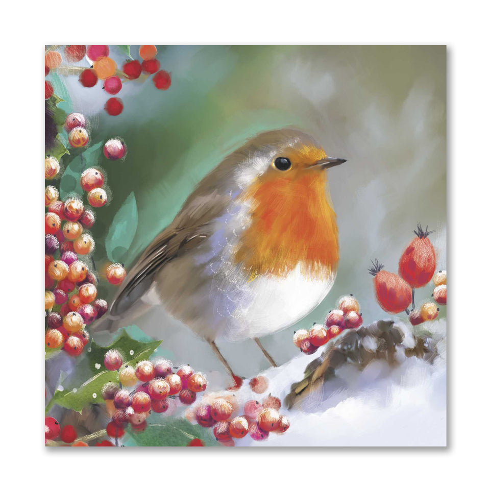 Red Berry Robin – Muscular Dystrophy UK online shop